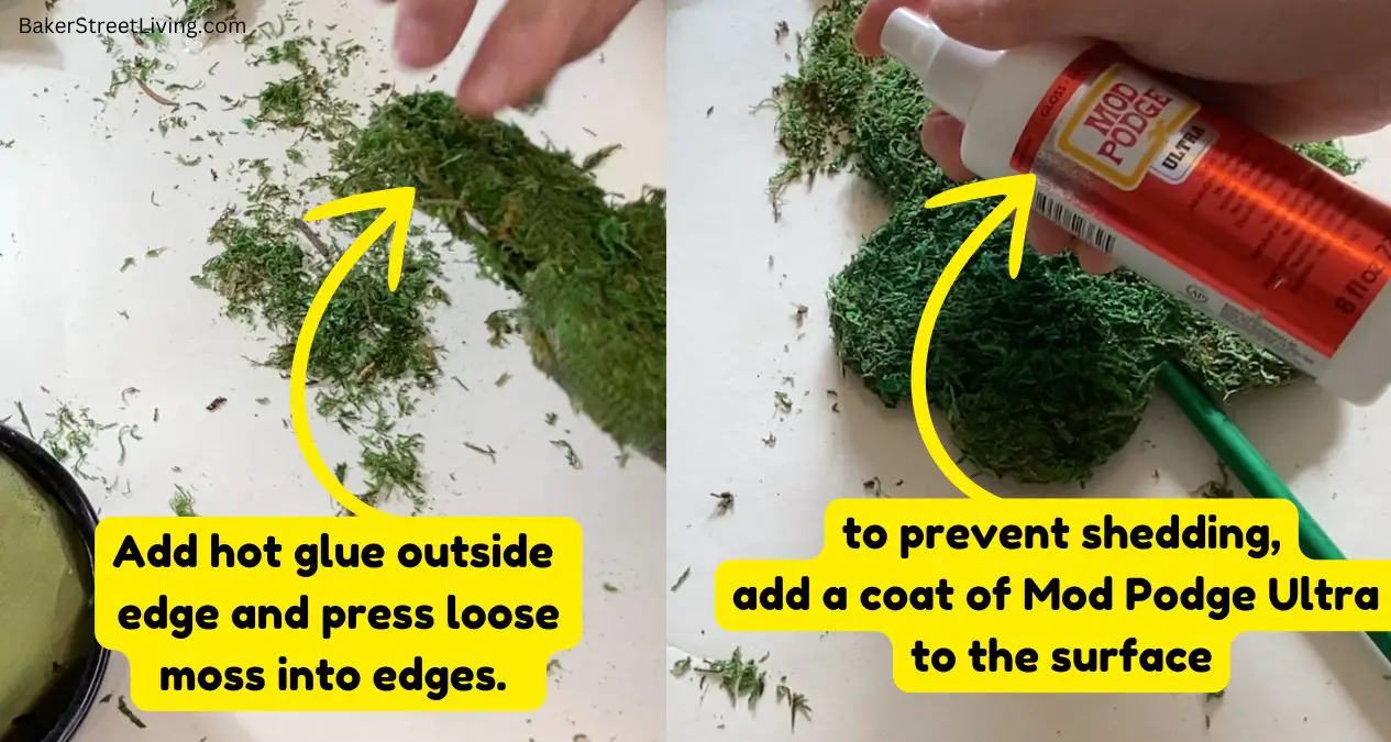 Easy DIY Shamrock Topiary (step by step instructions) - Baker Street Living