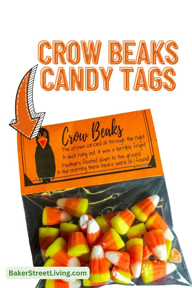 Easy to Make Printable Halloween Candy Tags - Baker Street Living