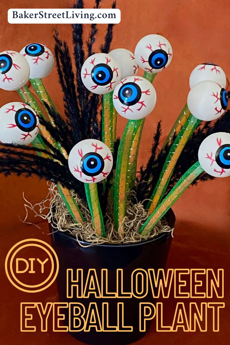 Fun to make DIY Eyeball Plant for Halloween. - Baker Street Living